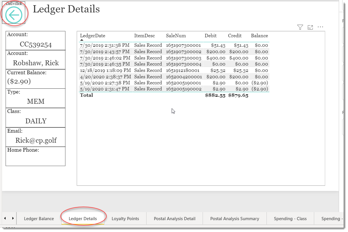 Ledger Balance and Details